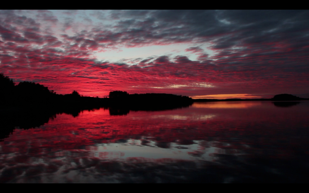 PROJECTS – DAISY RICKMAN